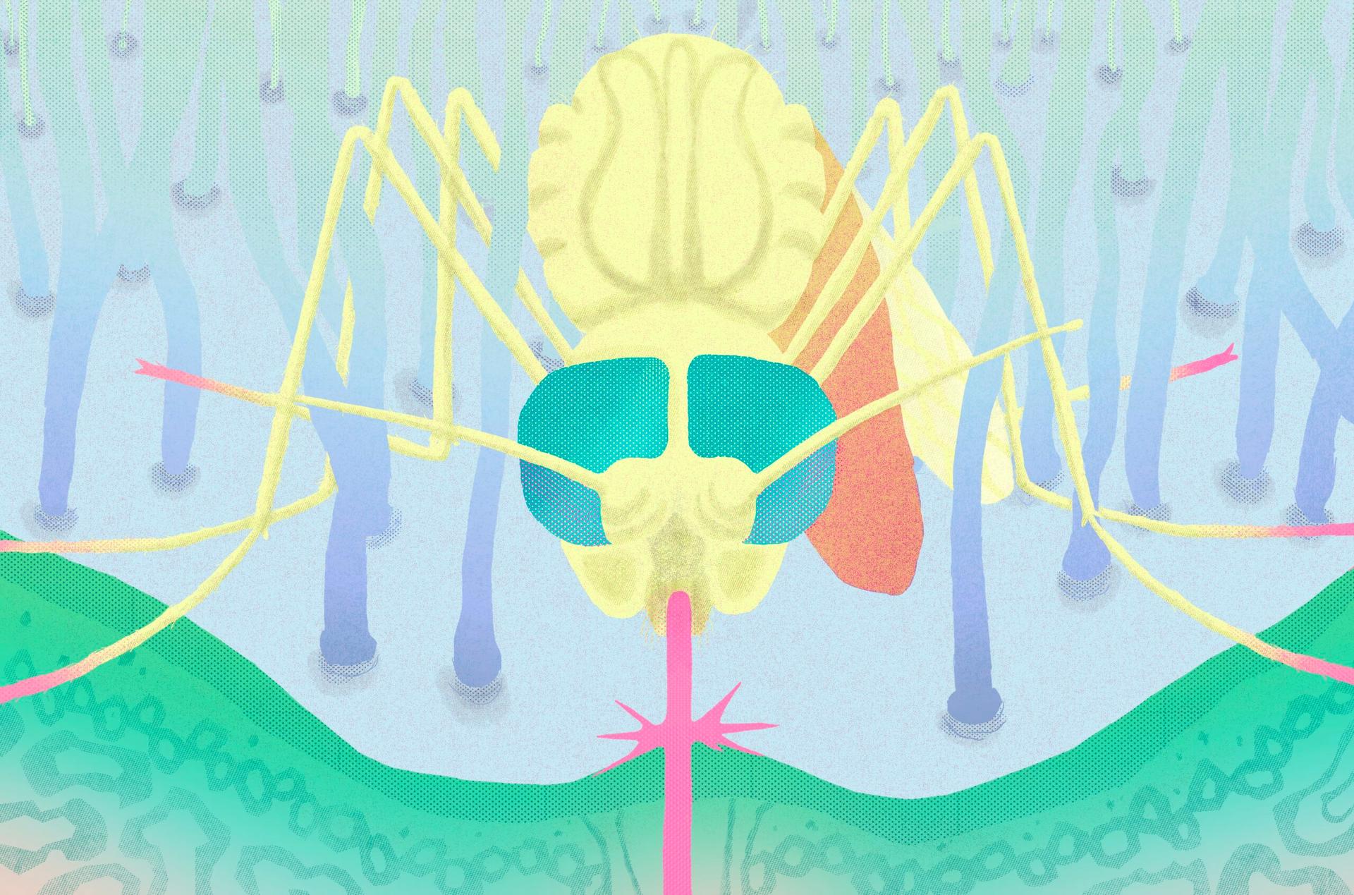 Archive - Works in Progress Magazine