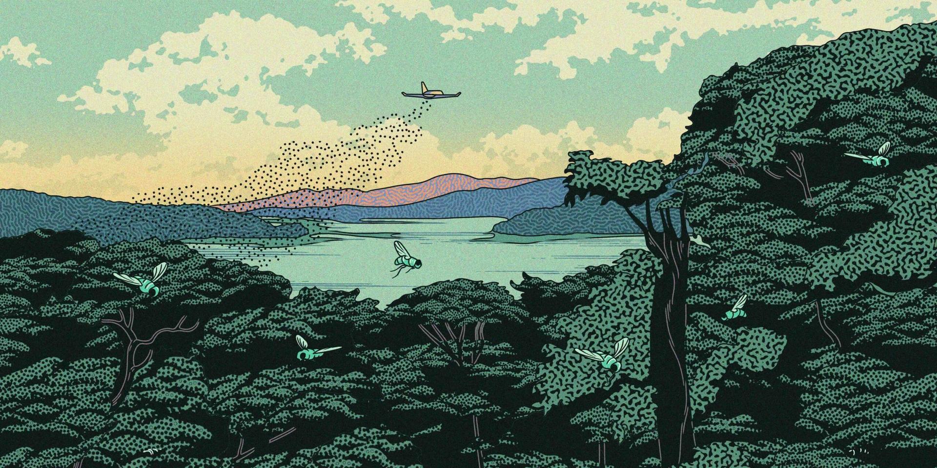 Archive - Works in Progress Magazine